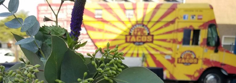 Catering – Epic Tacos